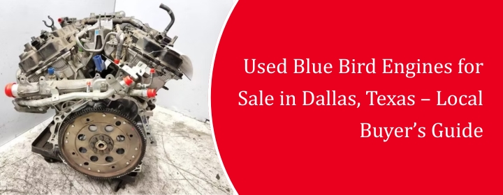 Used Blue Bird Engines for Sale in Dallas, Texas – Local Buyer’s Guide